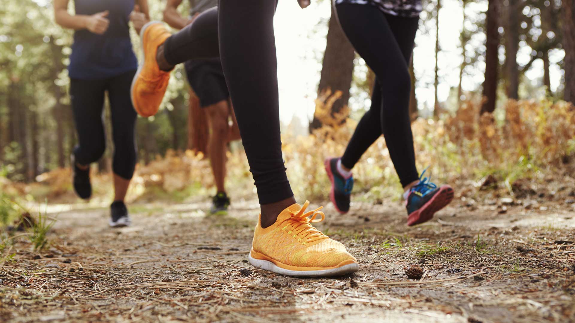 Offline Events Across Canada » Canadian Cinema Editors / Les Monteurs ...